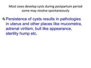 Lecture 9 Ovarian cysts in domestic animals | PDF
