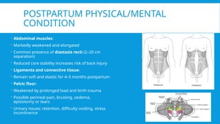 lecture 9 Postnatal period ppt (1).pptxx | PPTX