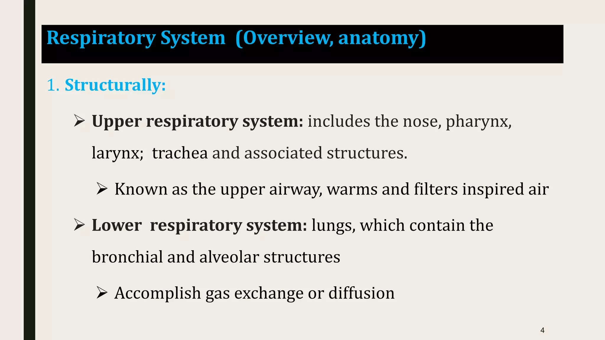 Lecture 9 Respiratory System.pptx