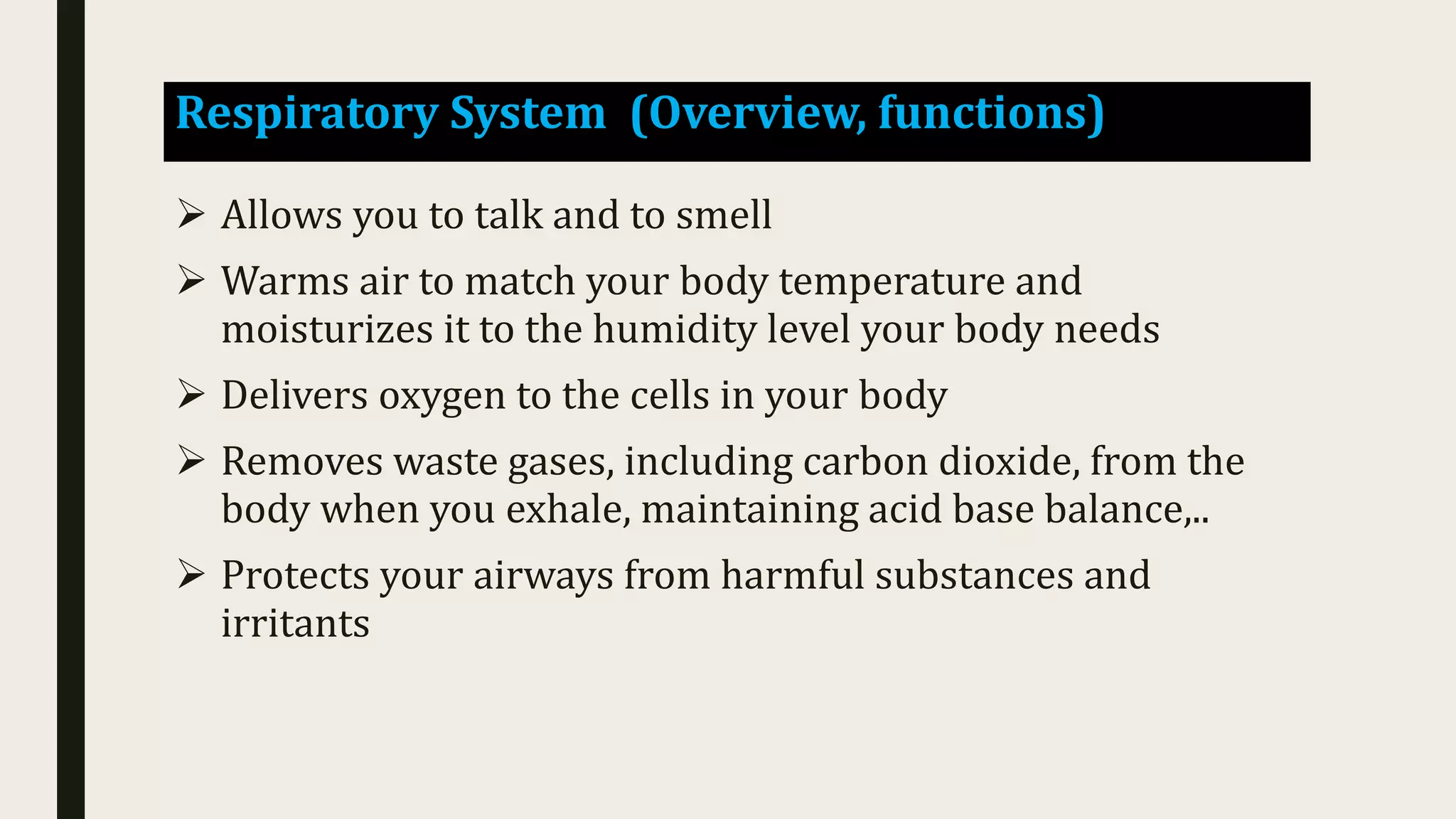 Lecture 9 Respiratory System.pptx
