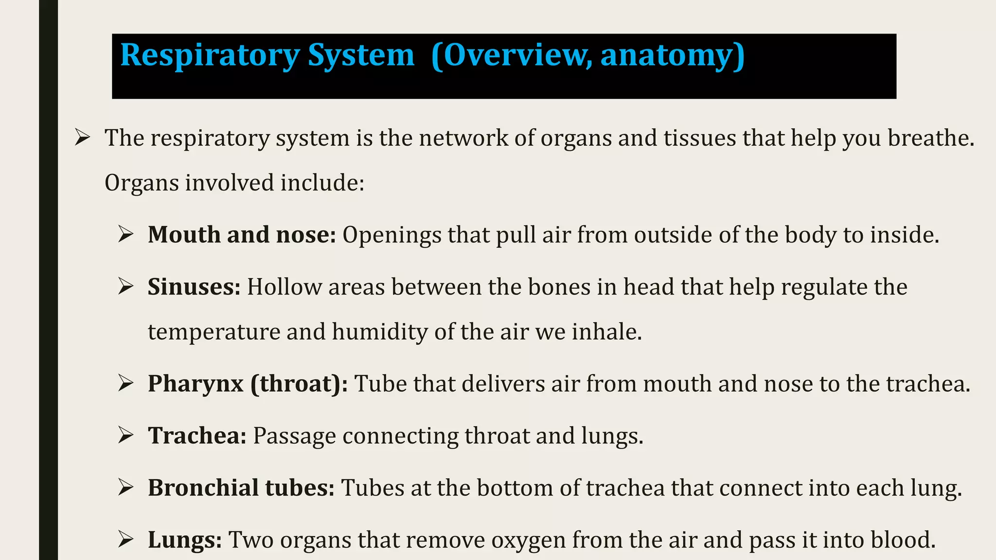 Lecture 9 Respiratory System.pptx