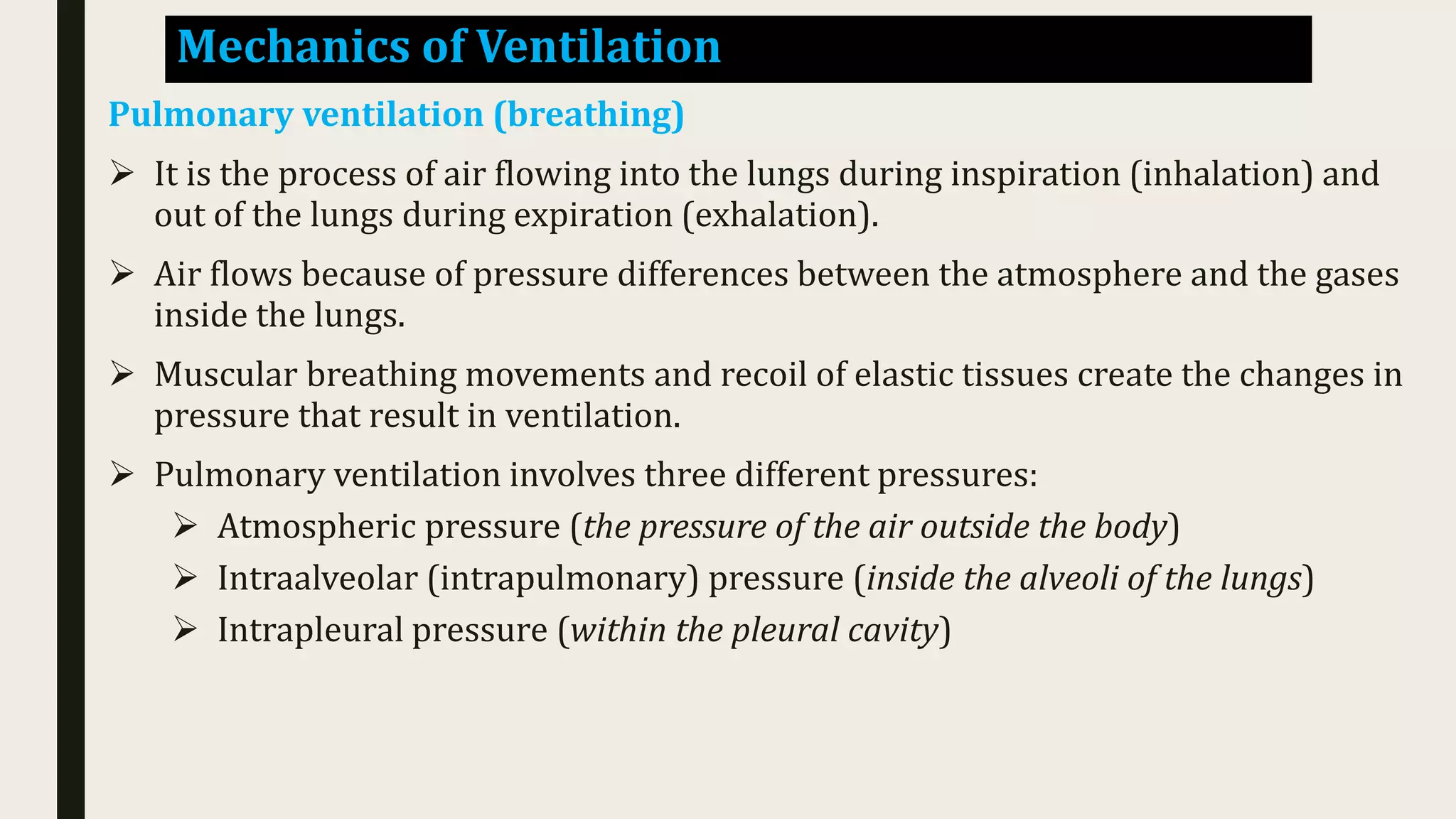 Lecture 9 Respiratory System.pptx