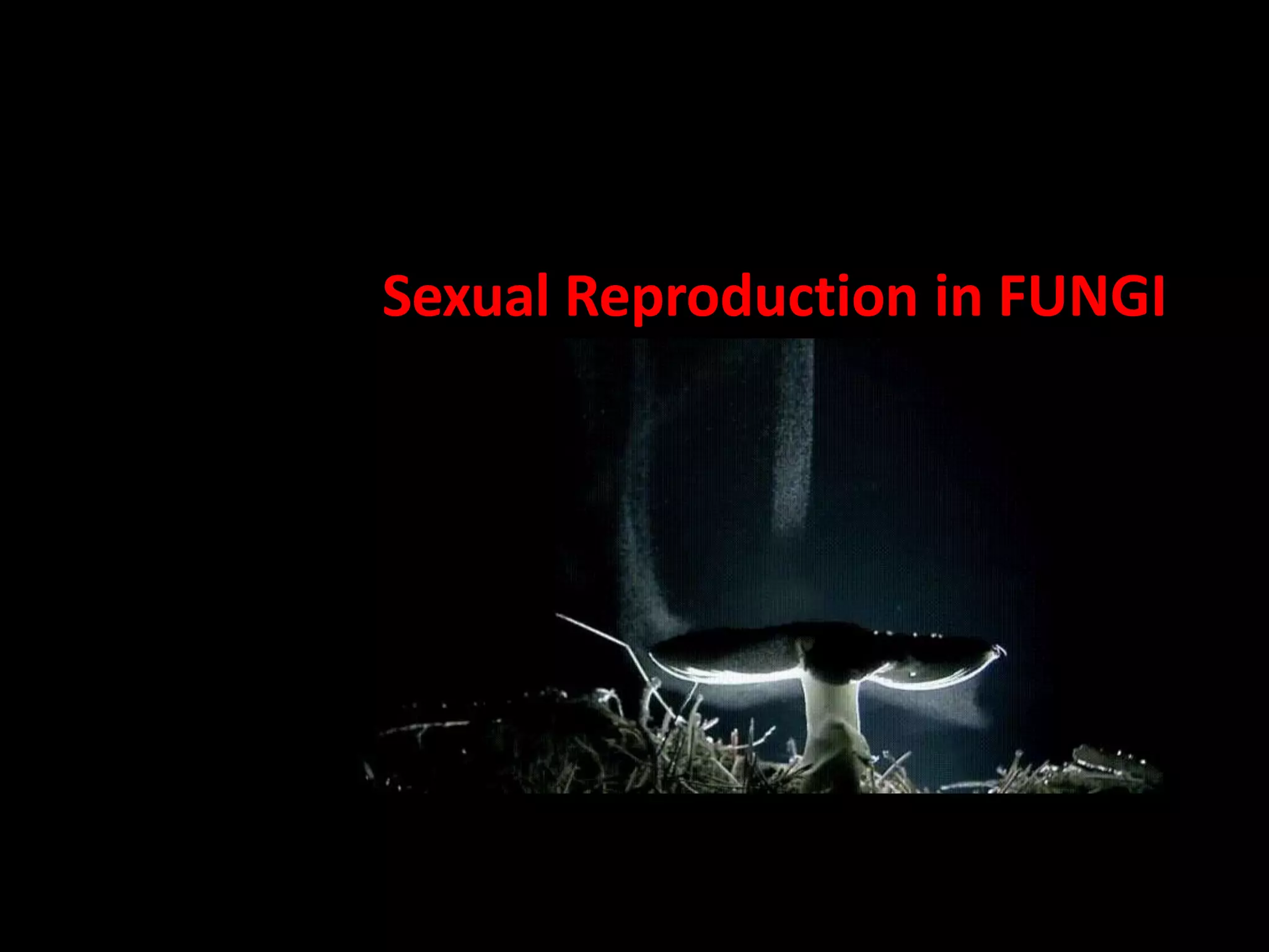 Lecture 9 Sexual Reproduction In Fungi Pptx