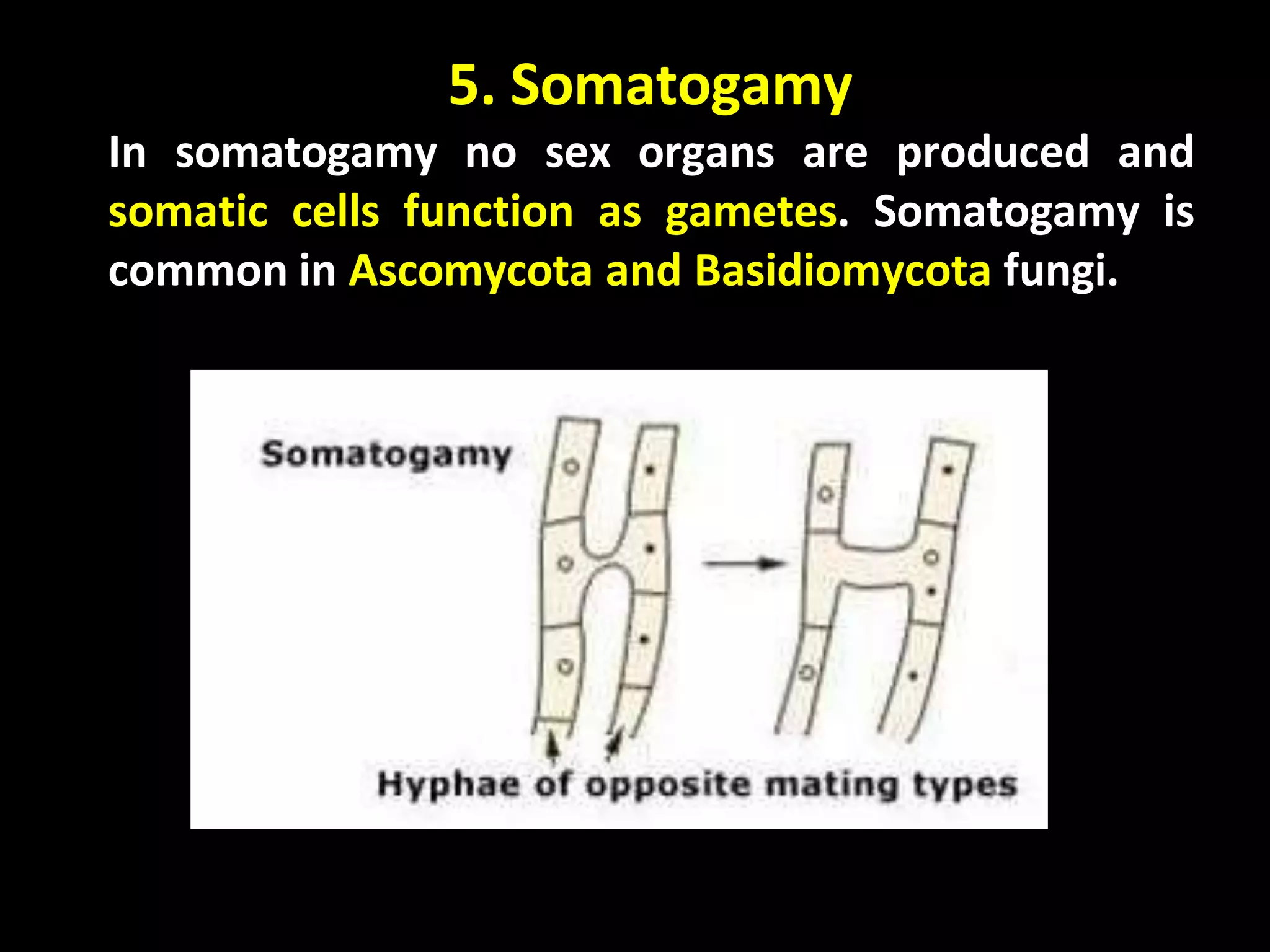 Lecture 9 Sexual reproduction in fungi.pptx