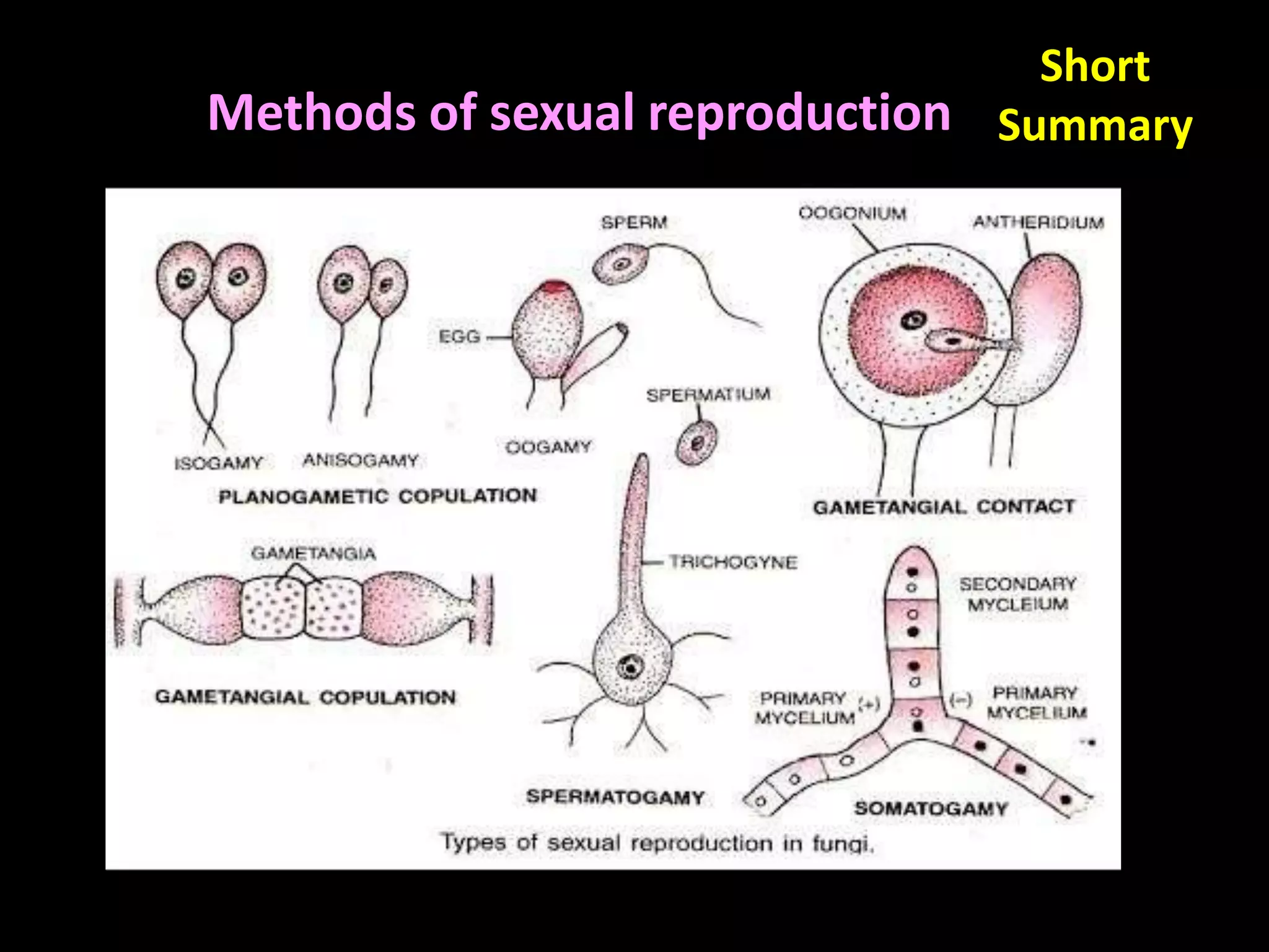 Lecture 9 Sexual reproduction in fungi.pptx