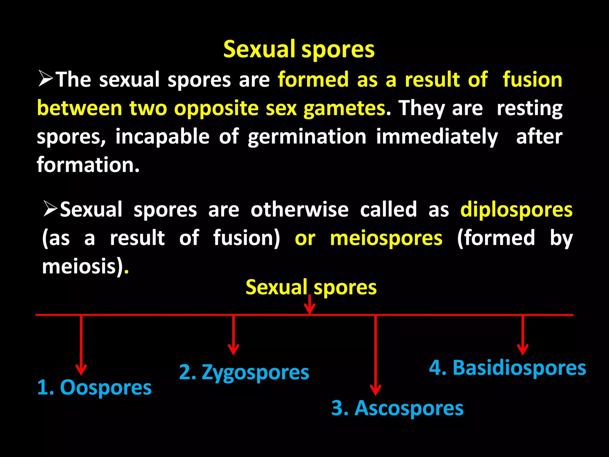 Lecture 9 Sexual Reproduction In Fungi Pptx