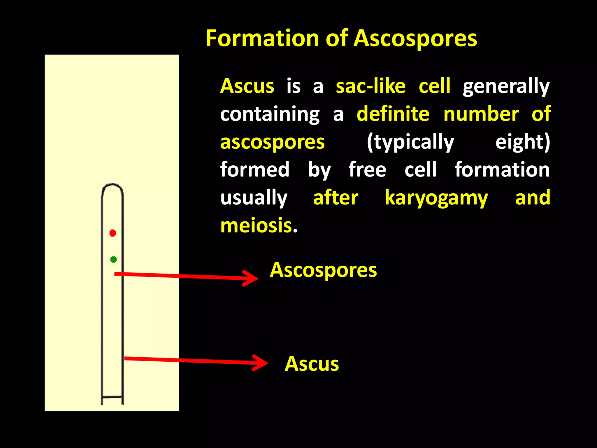 Lecture 9 Sexual reproduction in fungi.pptx