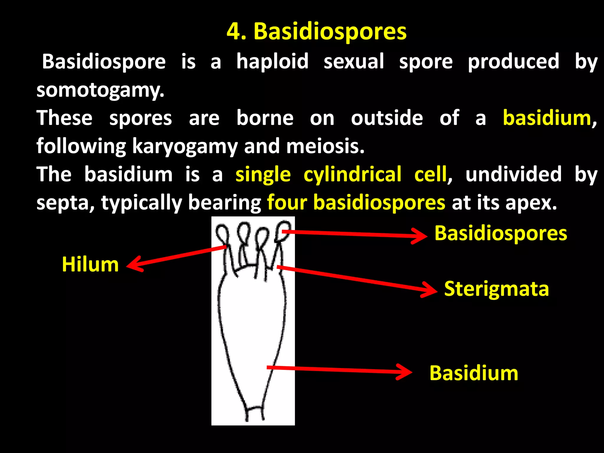Lecture 9 Sexual reproduction in fungi.pptx