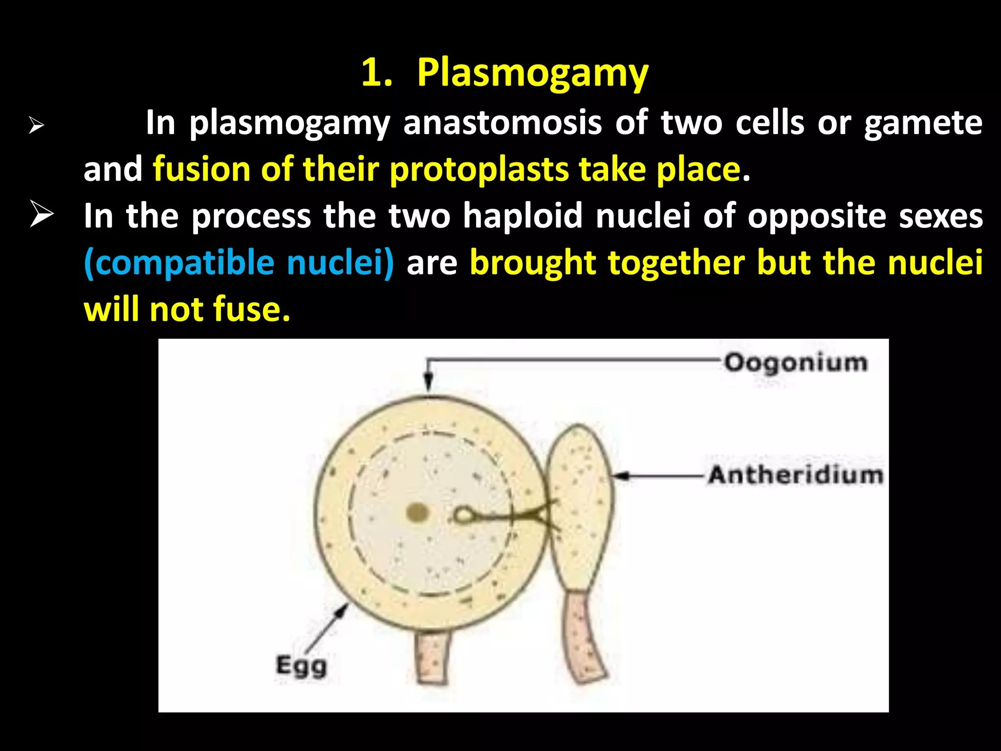 Lecture 9 Sexual reproduction in fungi.pptx