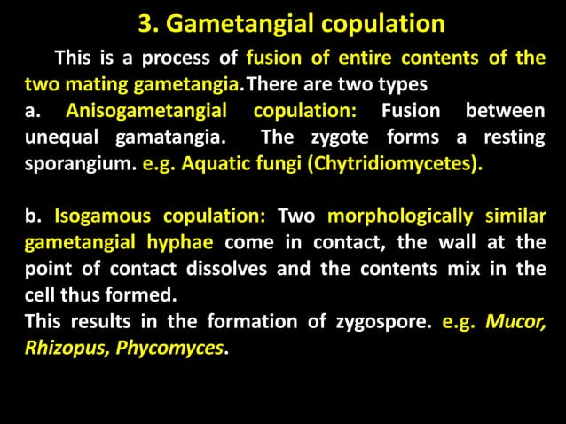 Lecture 9 Sexual Reproduction In Fungi Pptx