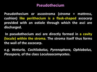Lecture 9 Sexual reproduction in fungi.pptx