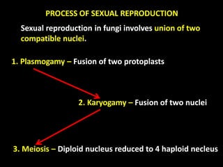 Lecture 9 Sexual reproduction in fungi.pptx