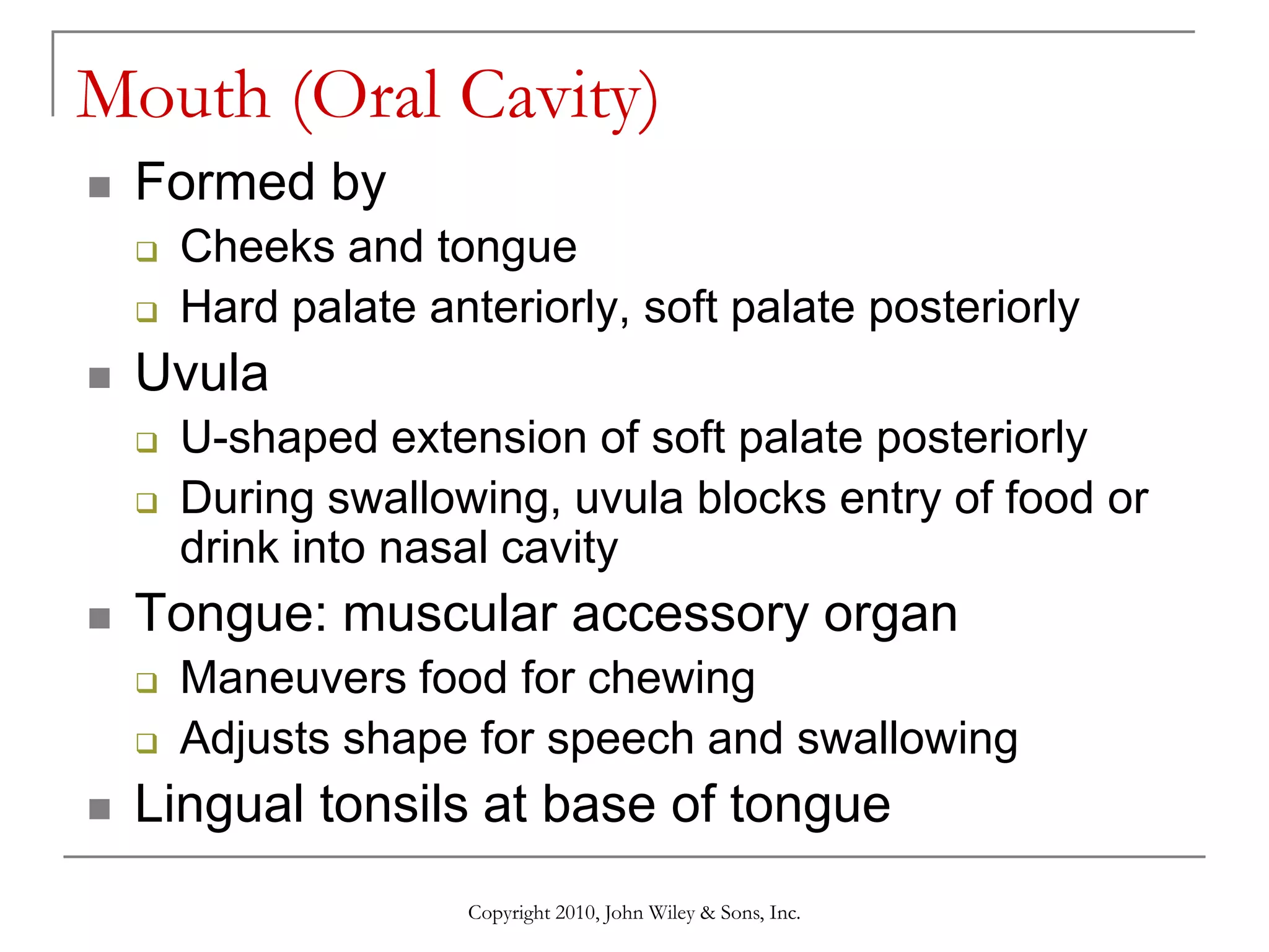 Lecture 9 the digestive system | PPT