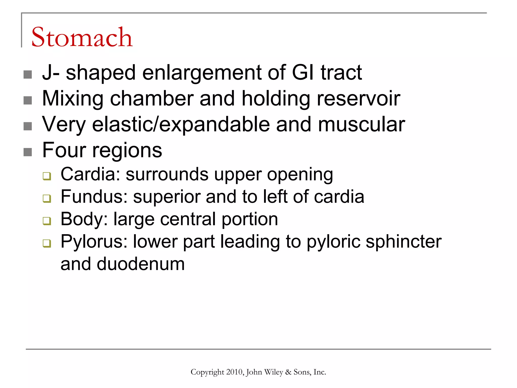 Lecture 9 the digestive system | PPT