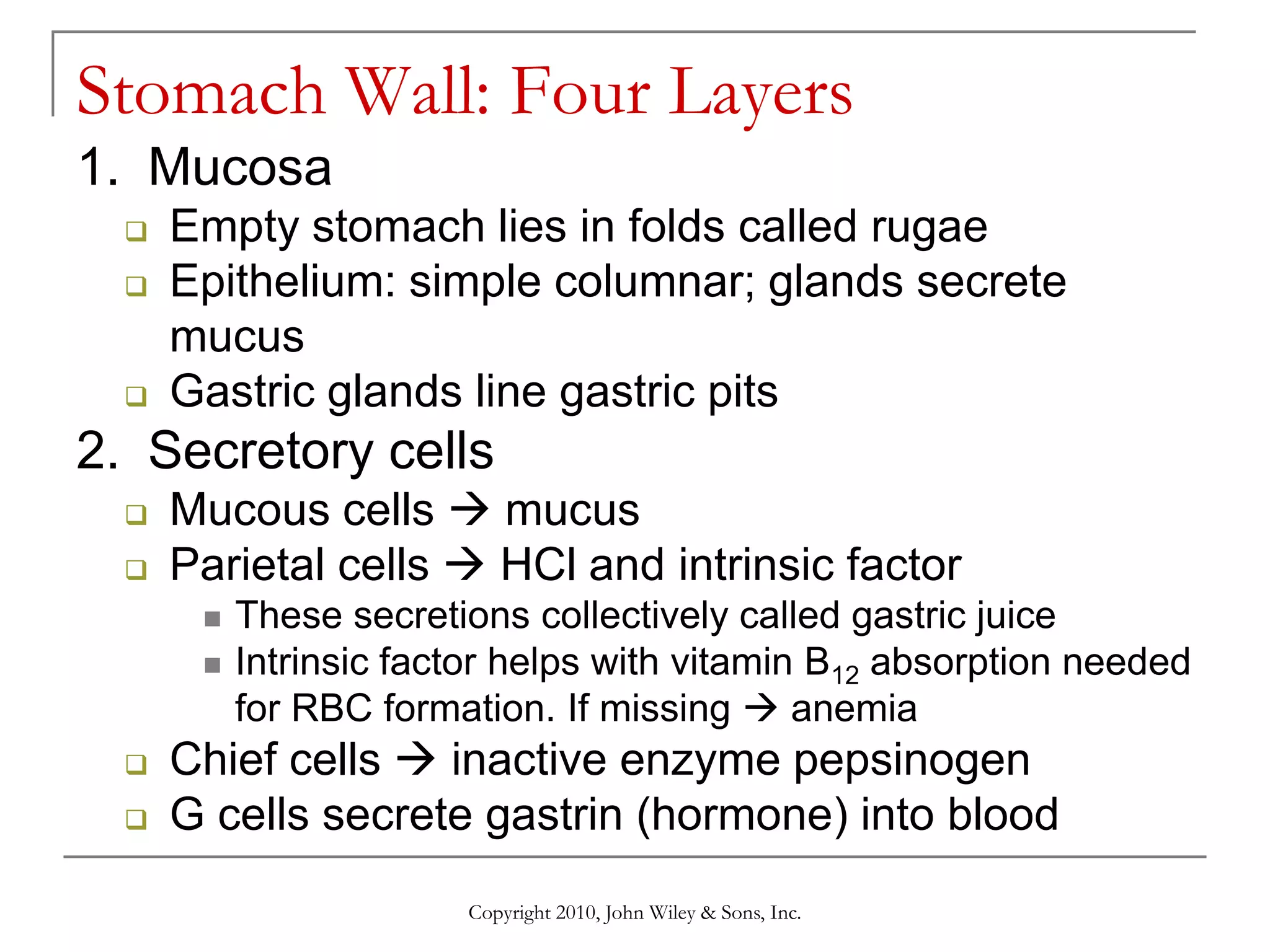 Lecture 9 the digestive system | PPT