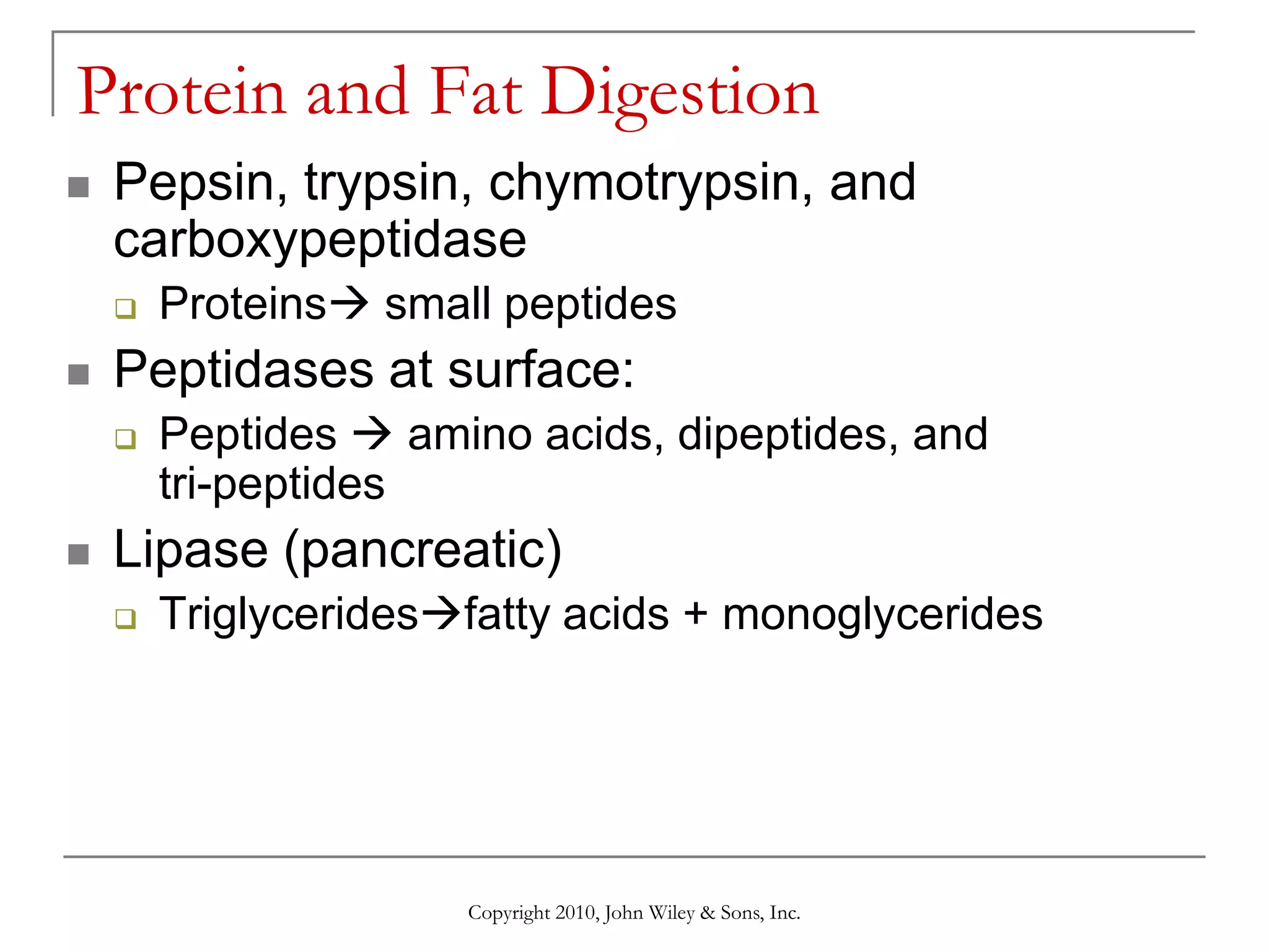 Lecture 9 the digestive system | PPT