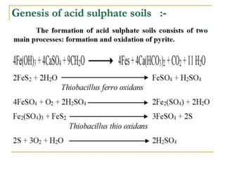 Acid Sulphate Soils | PPTX