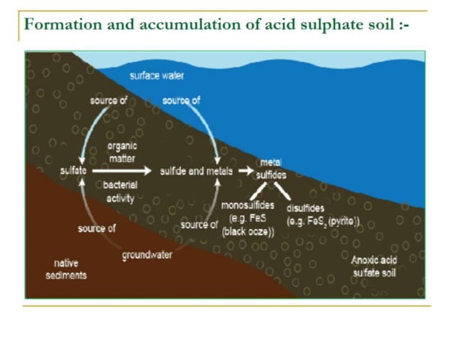 Acid Sulphate Soils | PPTX