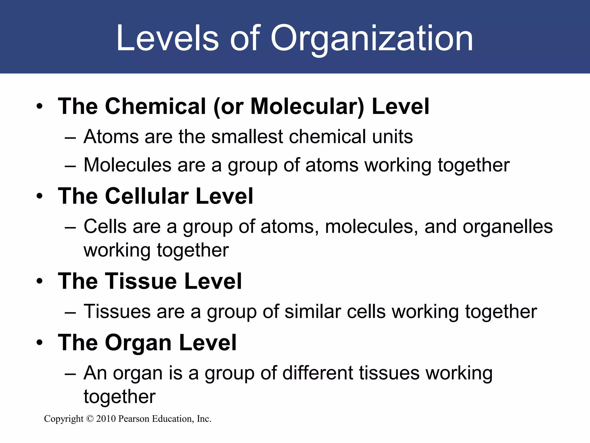 Lecture anatomical organization | PDF