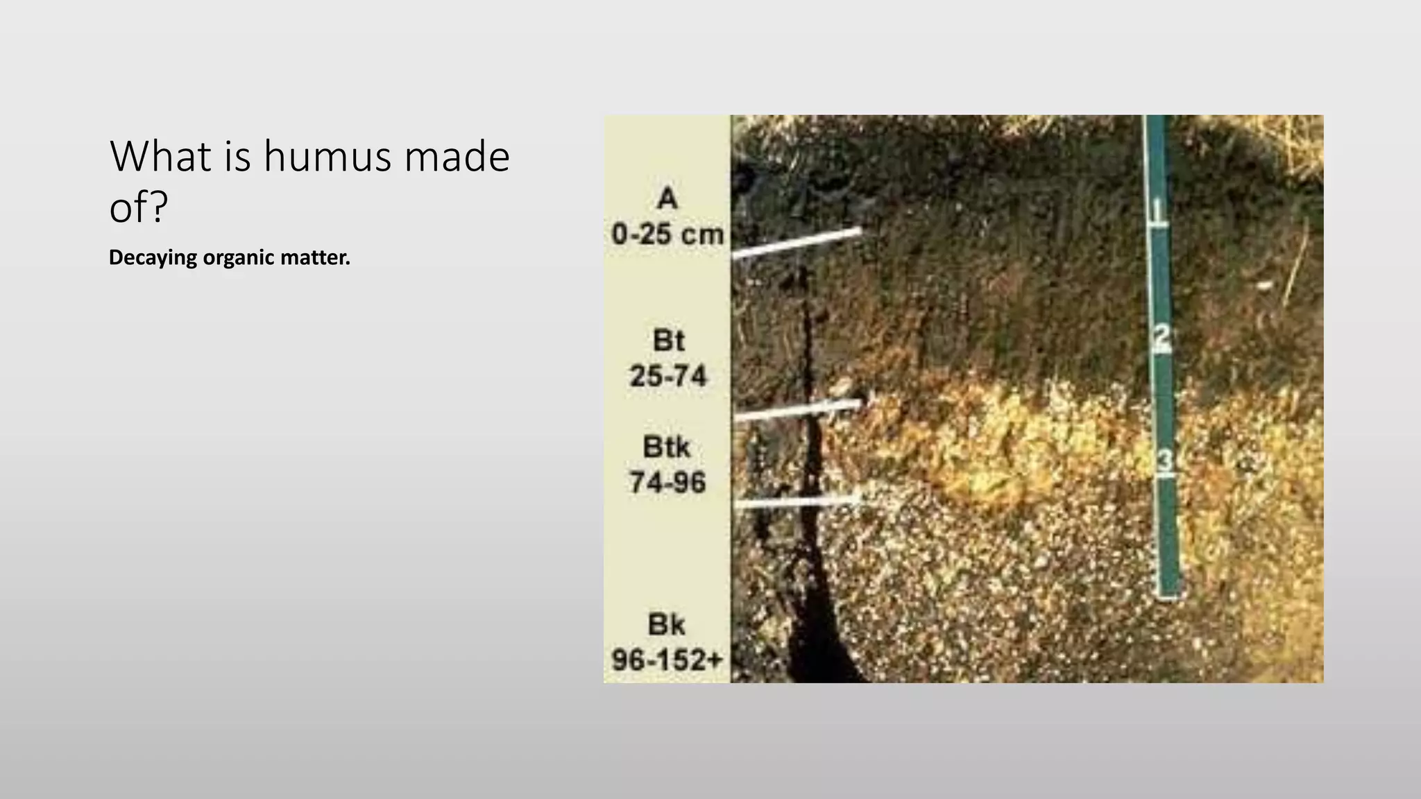 Lecture and study guide rocks, soils, erosion, weathering and ...