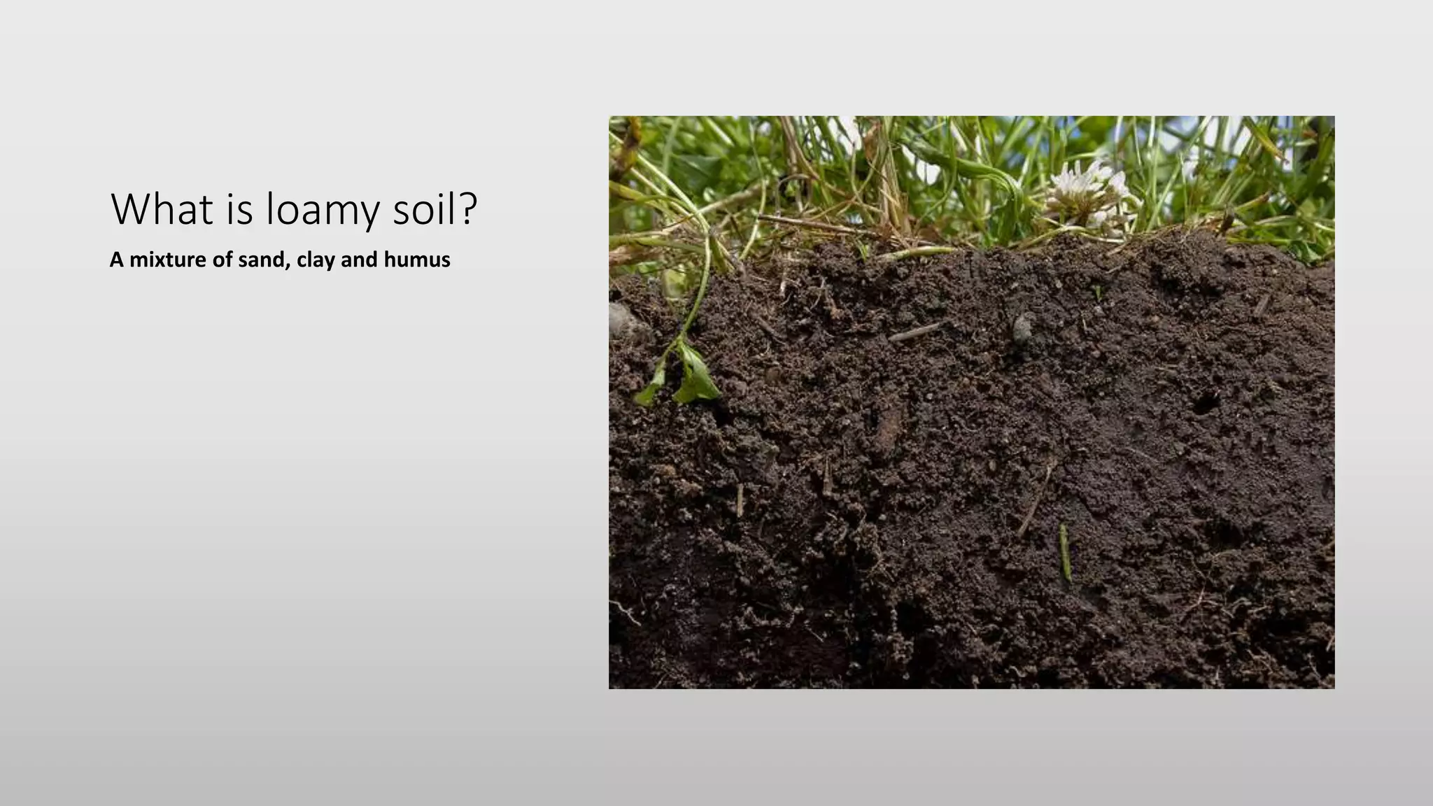 Lecture and study guide rocks, soils, erosion, weathering and ...