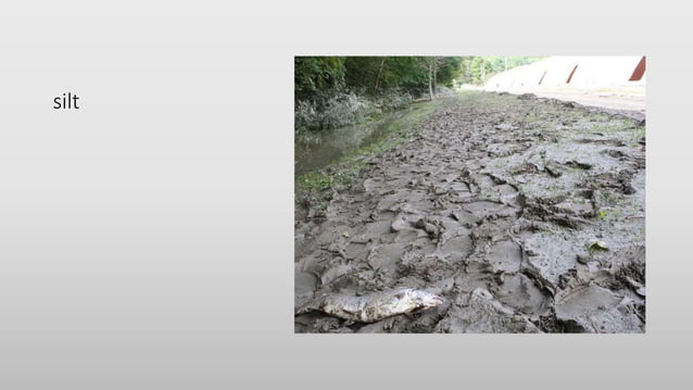 Lecture and study guide rocks, soils, erosion, weathering and ...