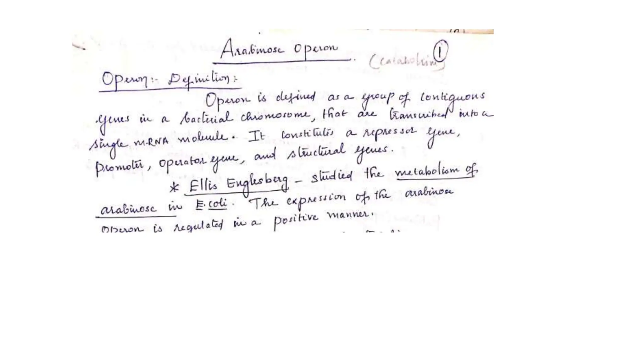 Lecture Arabinose operon- regulatio.pdf | College Education | Education