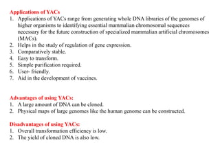 Lecture BAC YAC.pptx