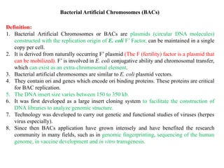Lecture BAC YAC.pptx
