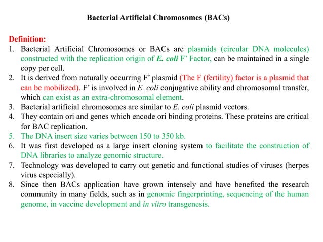 Lecture BAC YAC.pptx