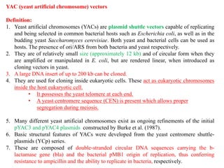 Lecture BAC YAC.pptx
