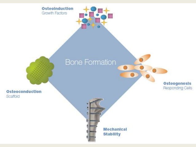 BMP bone morphogenic protein in spinal surgery | PPT | Free Download