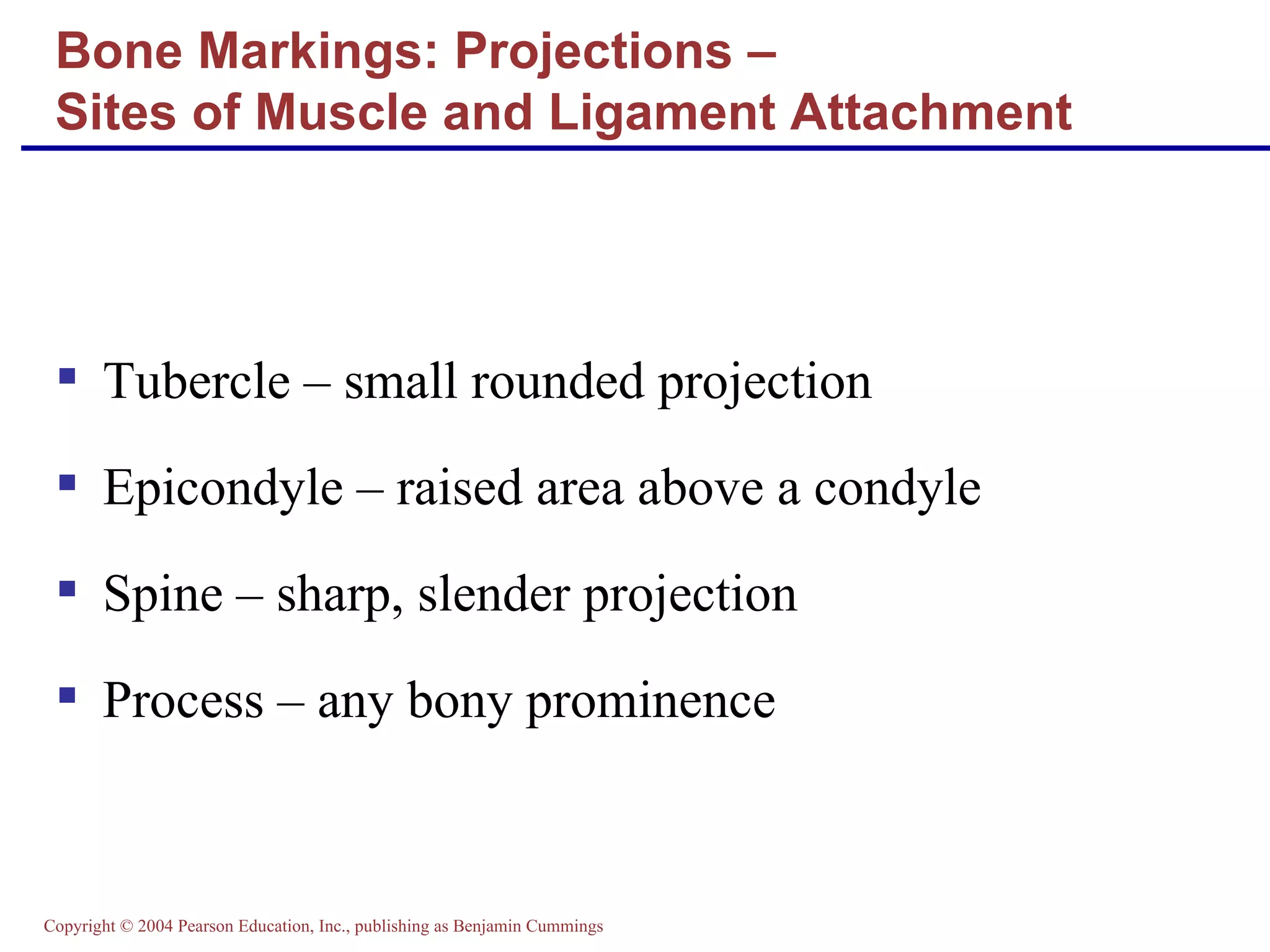 Lecture bone structure & markings | PPT