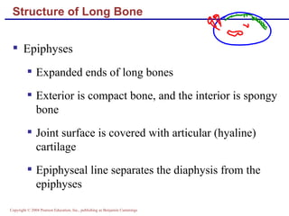 Lecture bone structure & markings | PPT
