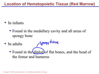 Lecture bone structure & markings | PPT
