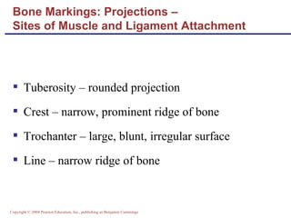 Lecture bone structure & markings | PPT