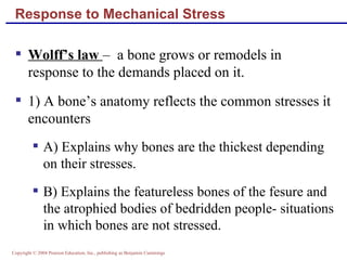 Lecture bone structure & markings #2clas | PPT