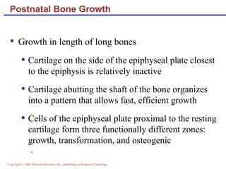 Lecture bone structure & markings #2clas | PPT