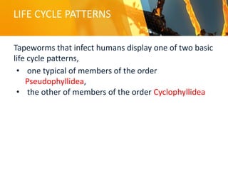Lecture_Cestodas.pdf
