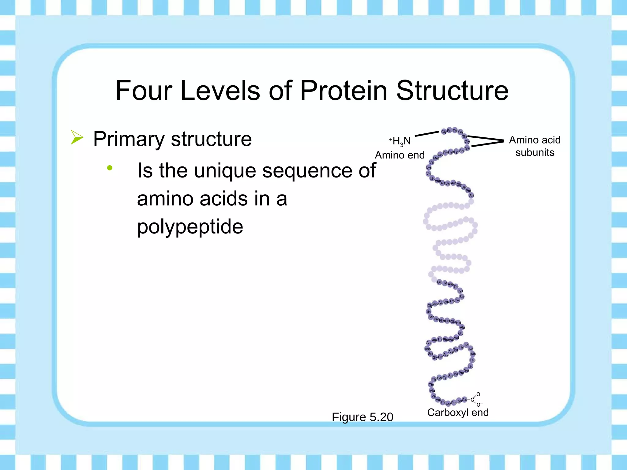 Macromolecules Lecture | PPT | Chemistry | Science