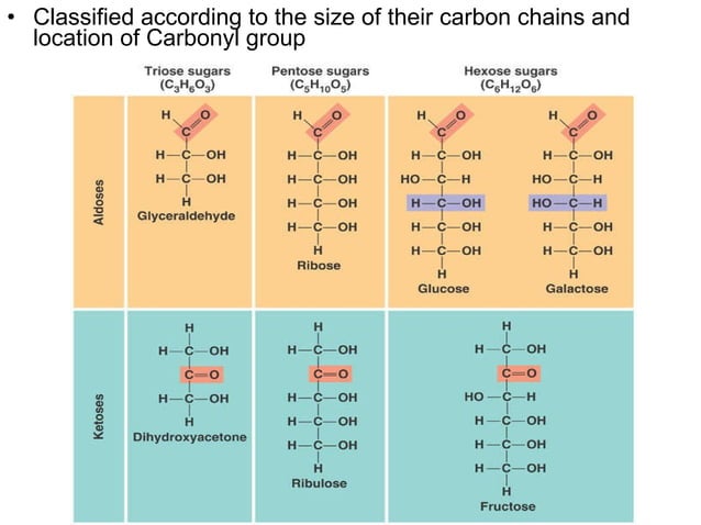Macromolecules Lecture | PPT | Chemistry | Science