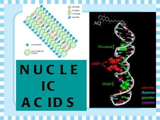 Macromolecules Lecture | PPT