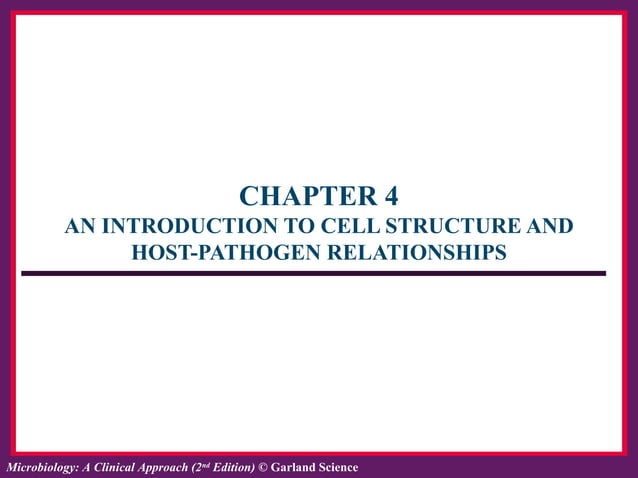 Ch 4 Cell Structure | PPT