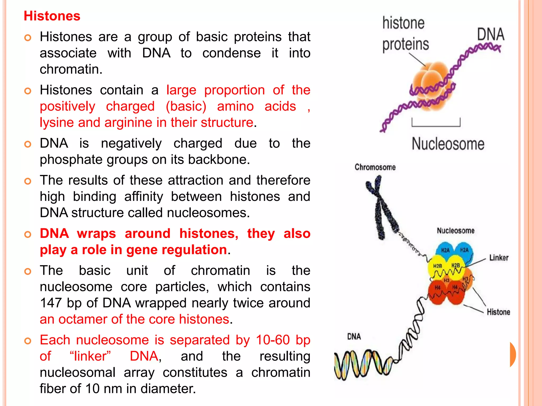 Lecture_Chromatin remodelling_slideshare.pdf