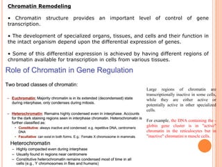 Lecture_Chromatin remodelling_slideshare.pdf