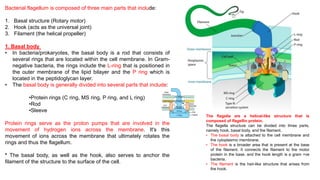 STRUCTURAL ORGANISATION OF CILIA AND FLAGELLA- IN PROKARYOTES AND ...