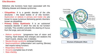 Cilia Function