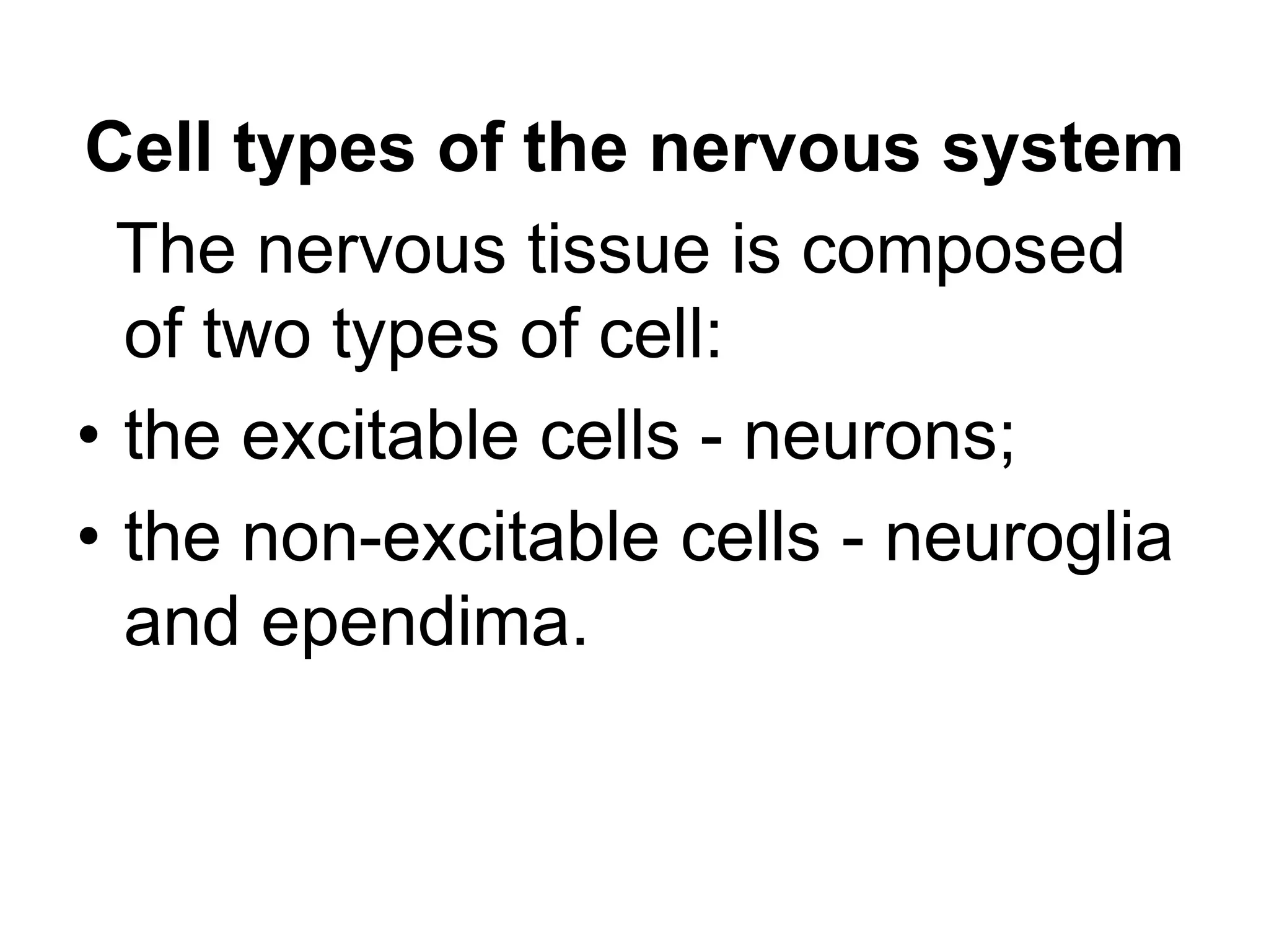 lecture CNS-3anatomy.ppt