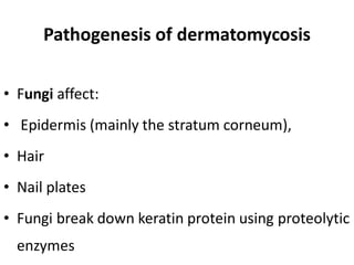Lecture DERMATOMYCOSES. VIRAL SKIN DISEASES 2024 - 25.pdf