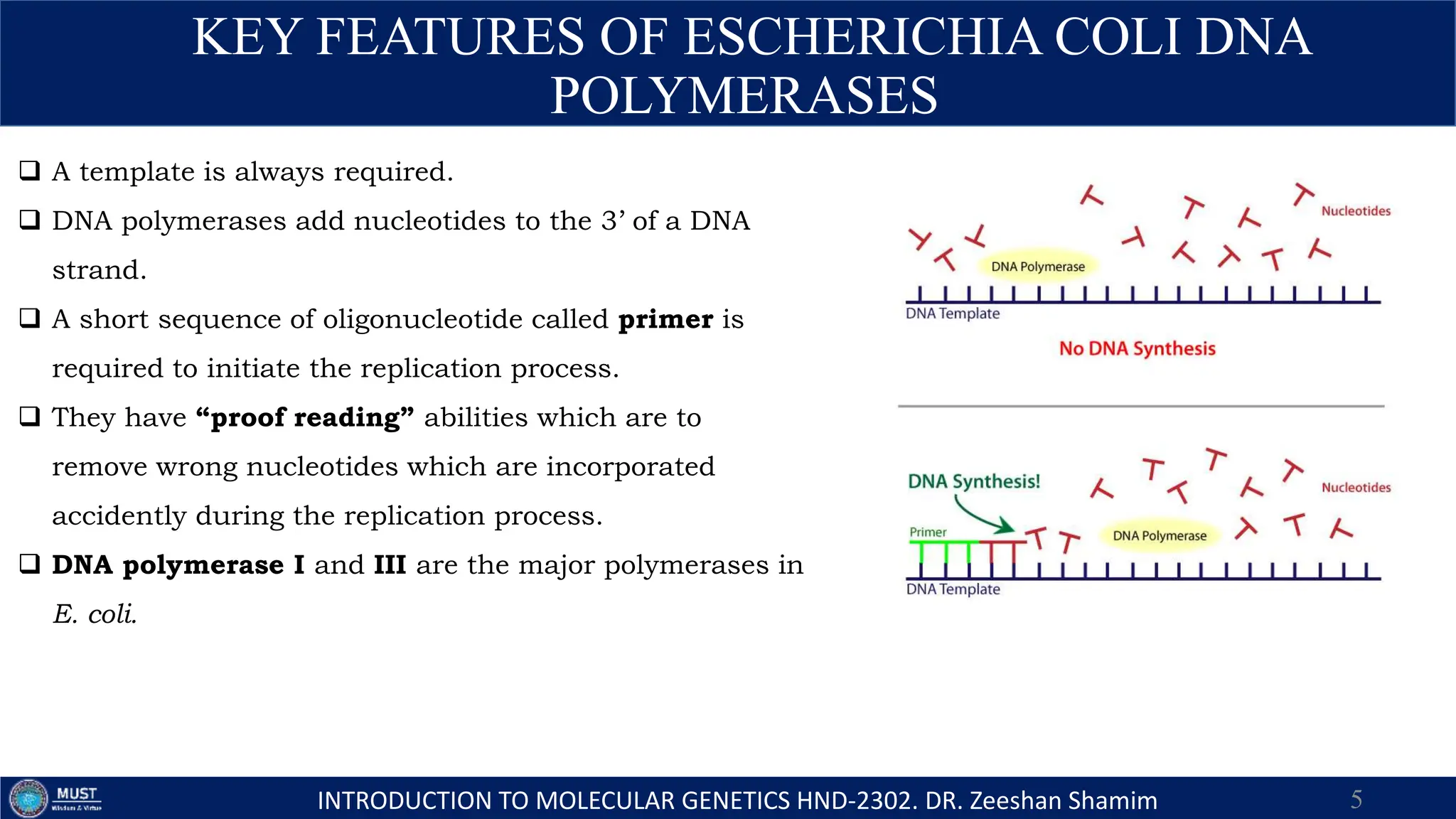 LECTURE DNA replication and Polymerases-1.pptx